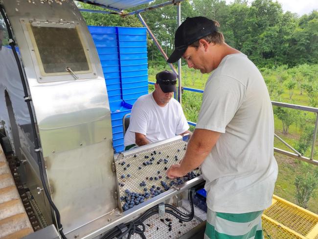 Home | Mississippi Department of Corrections